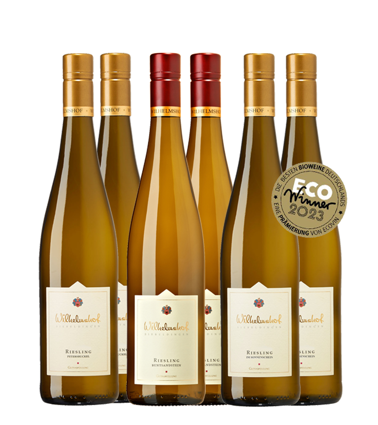 Spannende Rieslinge aus der Pfalz - von fruchtig bis mineralisch